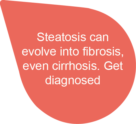What is liver steatosis, or 'fatty liver disease'? Causes and evolution